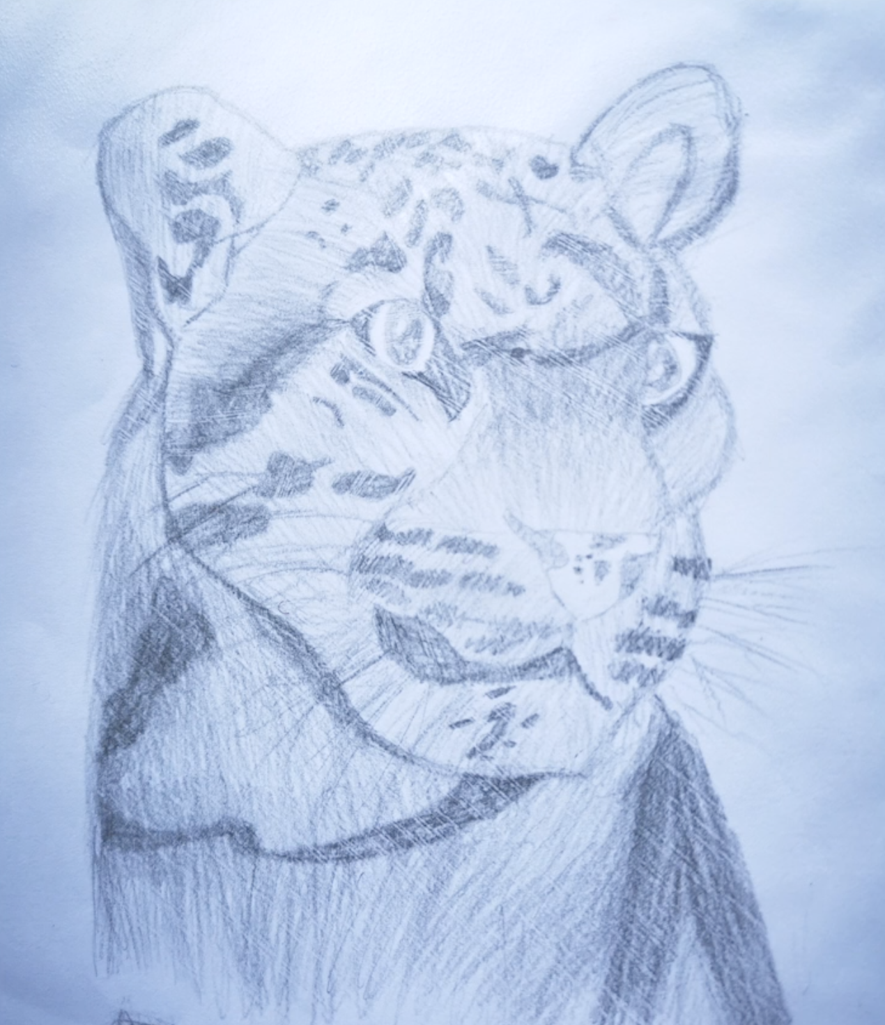 Art Work – Sawston Village College