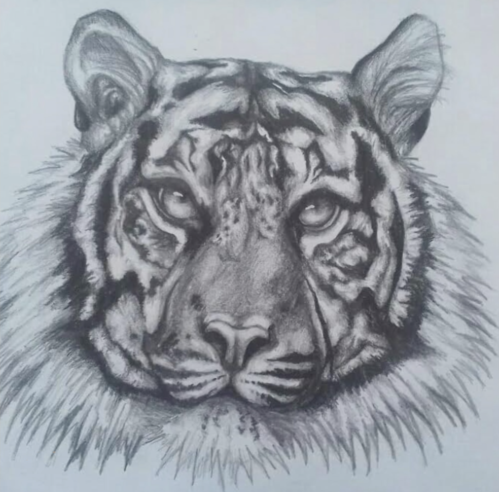 Art Work – Sawston Village College